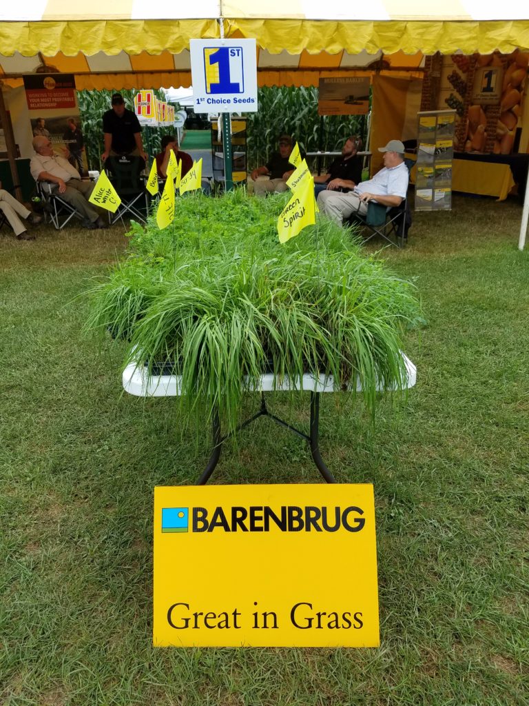 News Archives - Keystone Group Agricultural Seeds