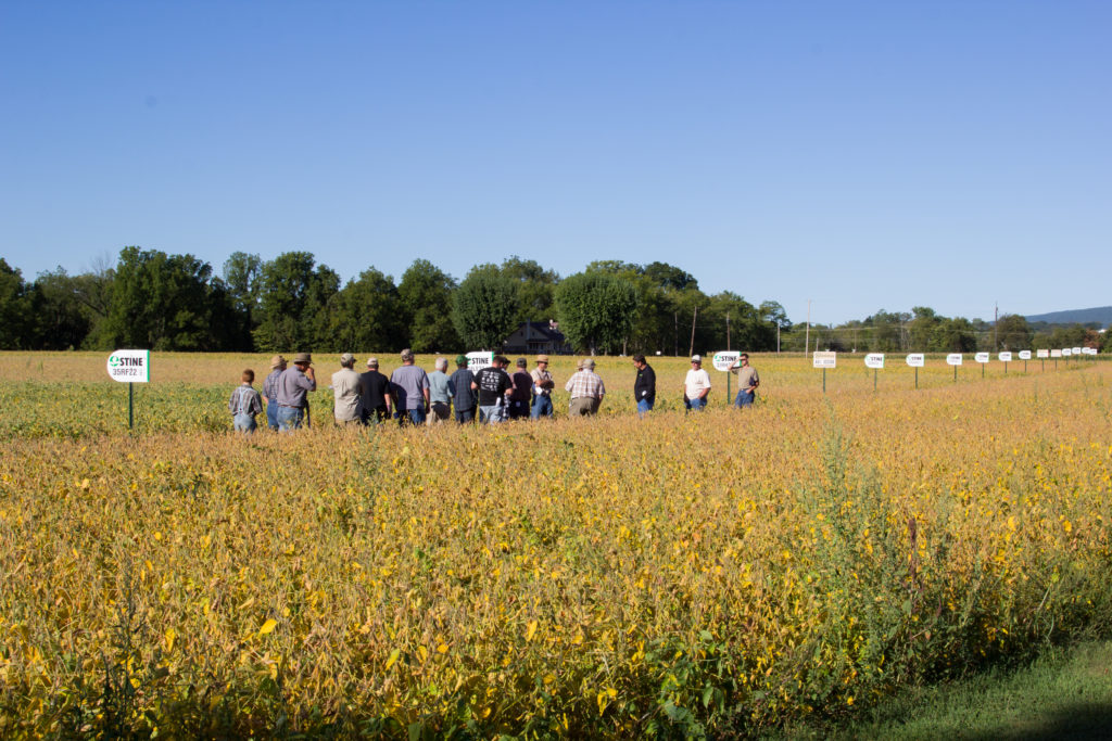 News Archives - Keystone Group Agricultural Seeds