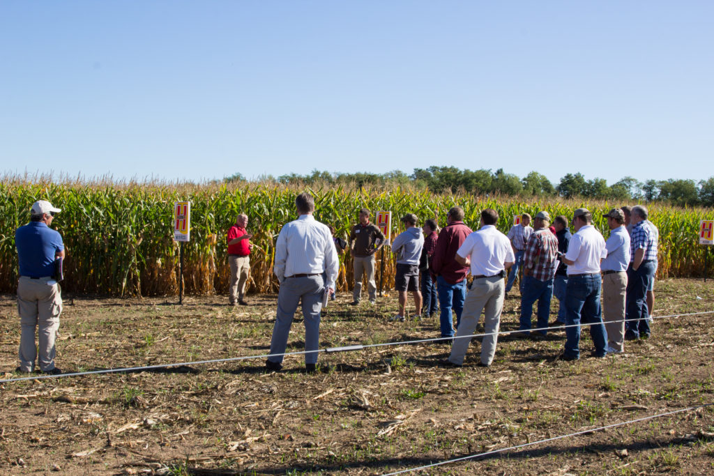 News Archives - Keystone Group Agricultural Seeds