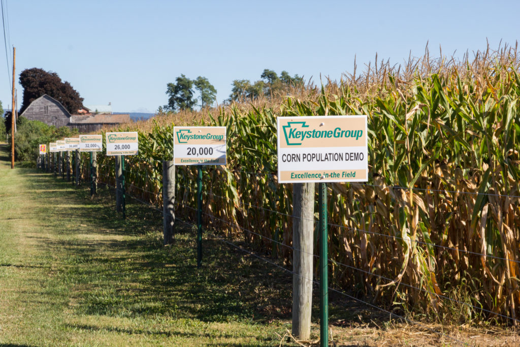 News Archives - Keystone Group Agricultural Seeds