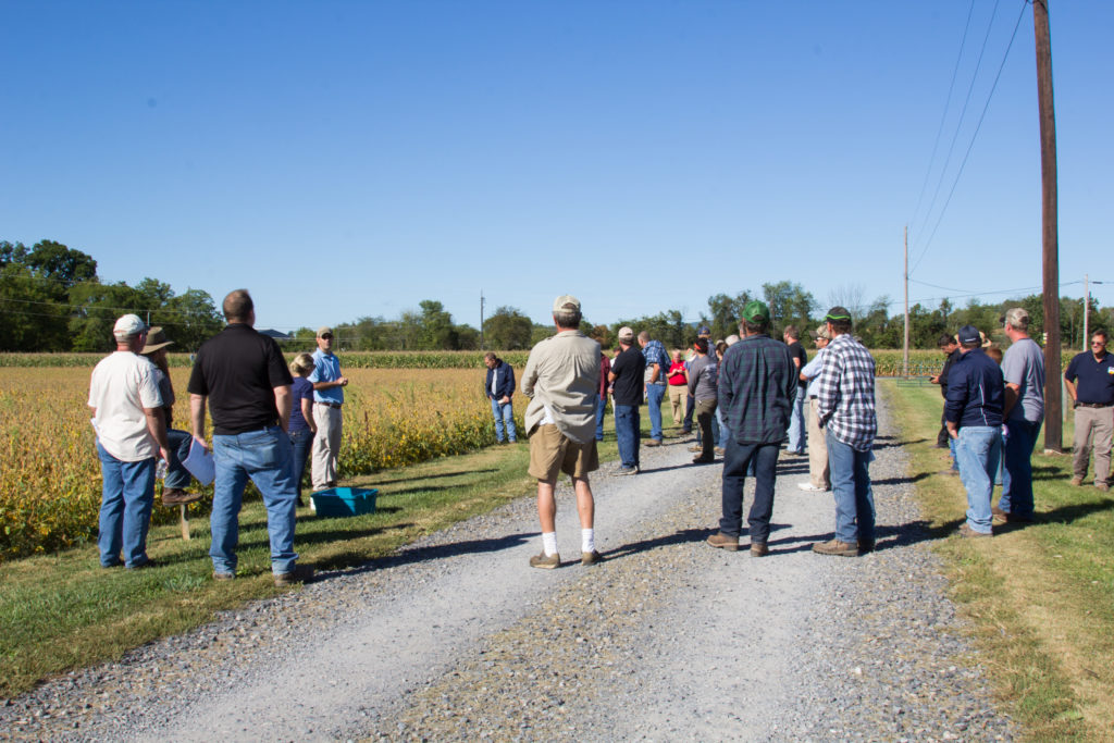 News Archives - Keystone Group Agricultural Seeds